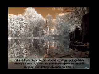 Stara rada chinska_bb | PPS