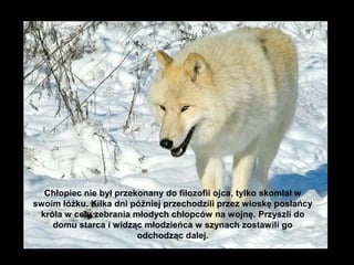Stara rada chinska_bb | PPS