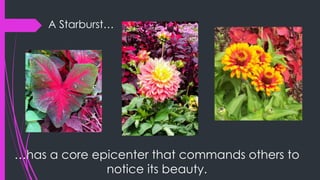 Starburst Literacy In Bloom | PPT