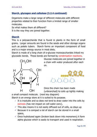 Starch Structure Diagram