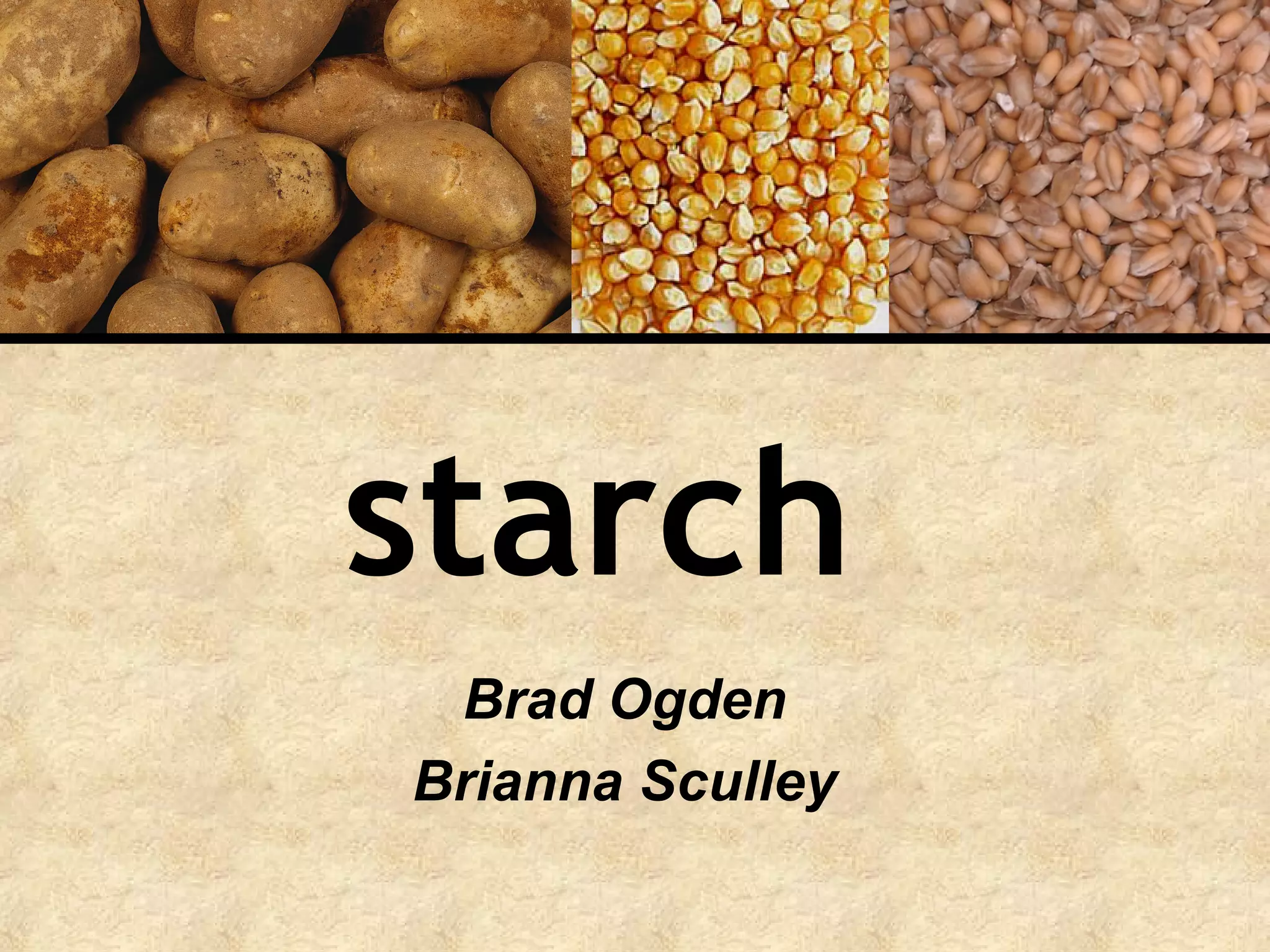 Starch Pp | PPT