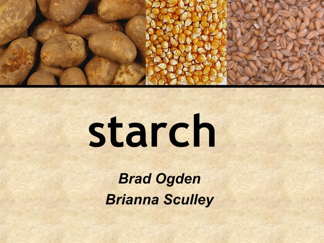 Starch Pp | PPT
