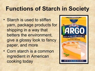 Starch Pp | PPT