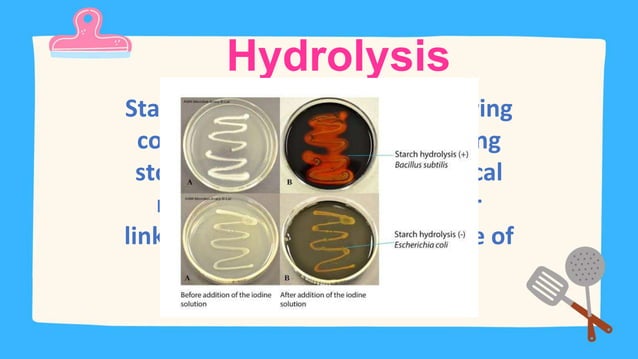 Starch and Cereal Dishes Perform Mise en Place.pptx | Food & Drink
