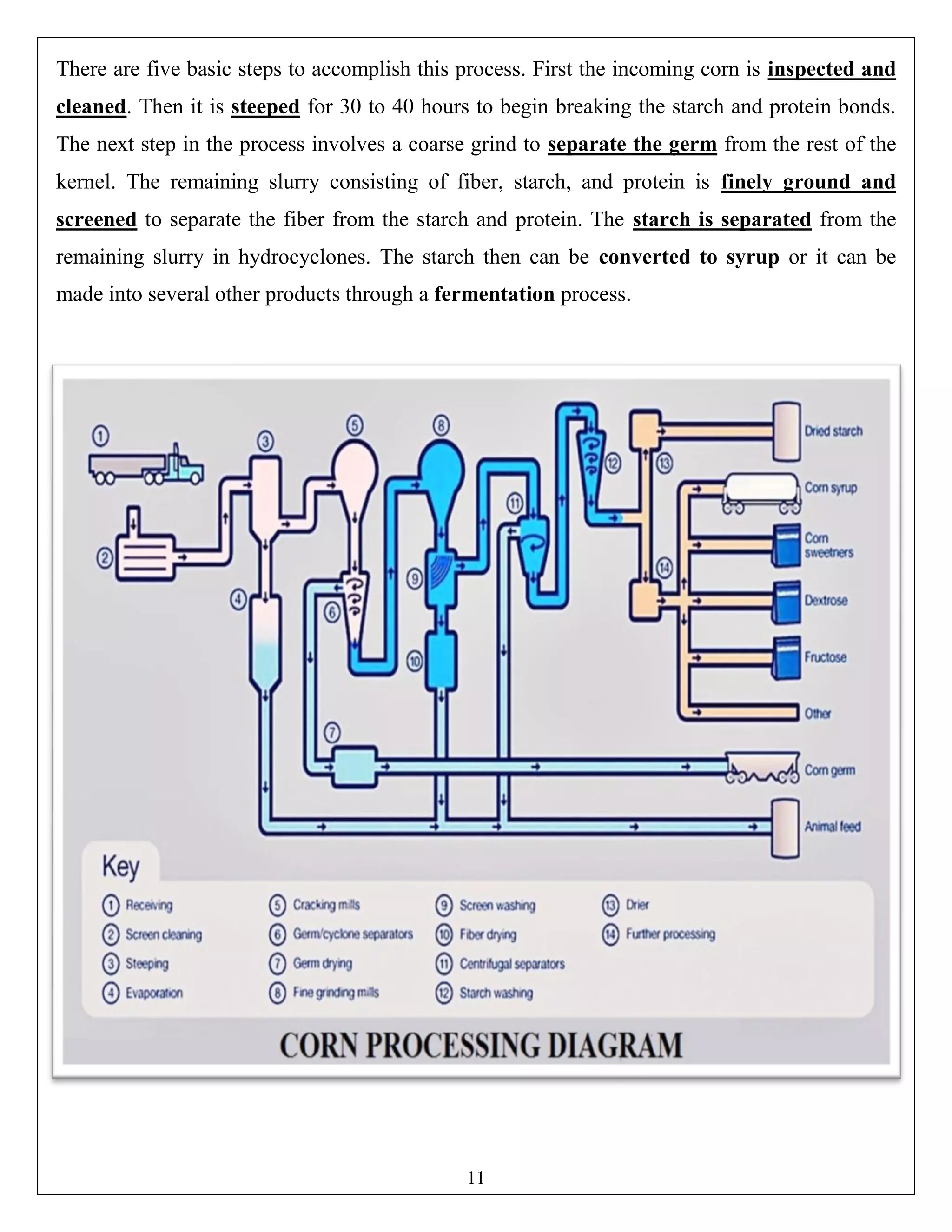 Starch and glucose production in large scale | PDF