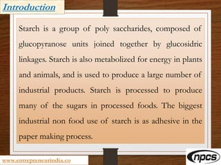 How to Manufacture Starch and Its Derivatives (Wheat Starch, Maize ...