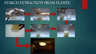 Starch based materials | PPT