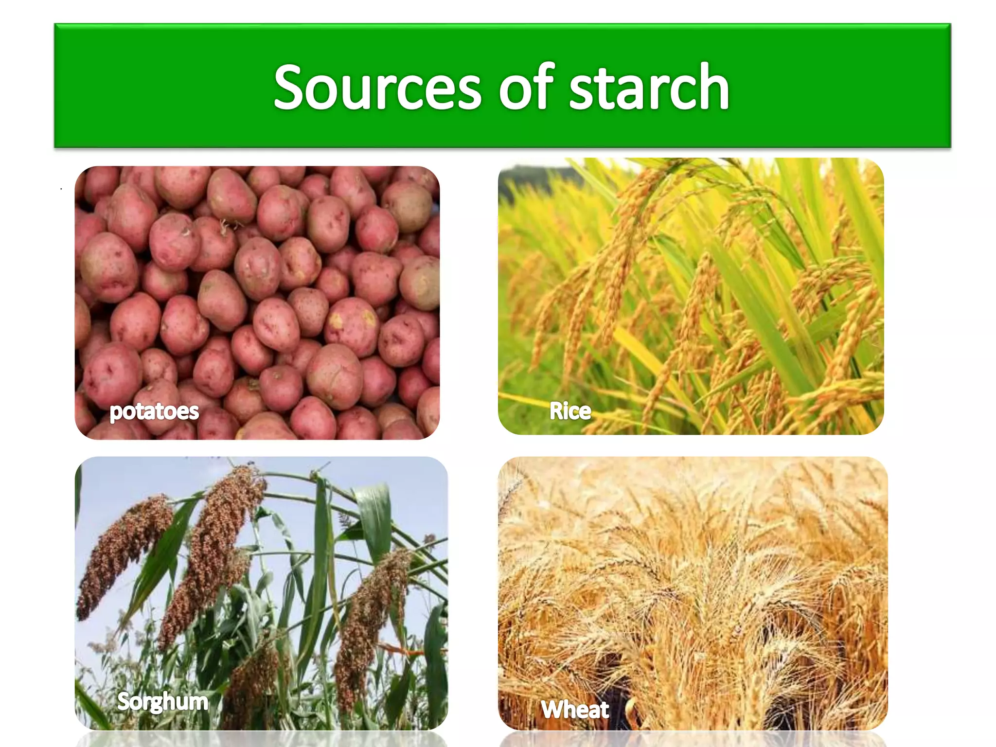 Starch based polyurethane | PPTX