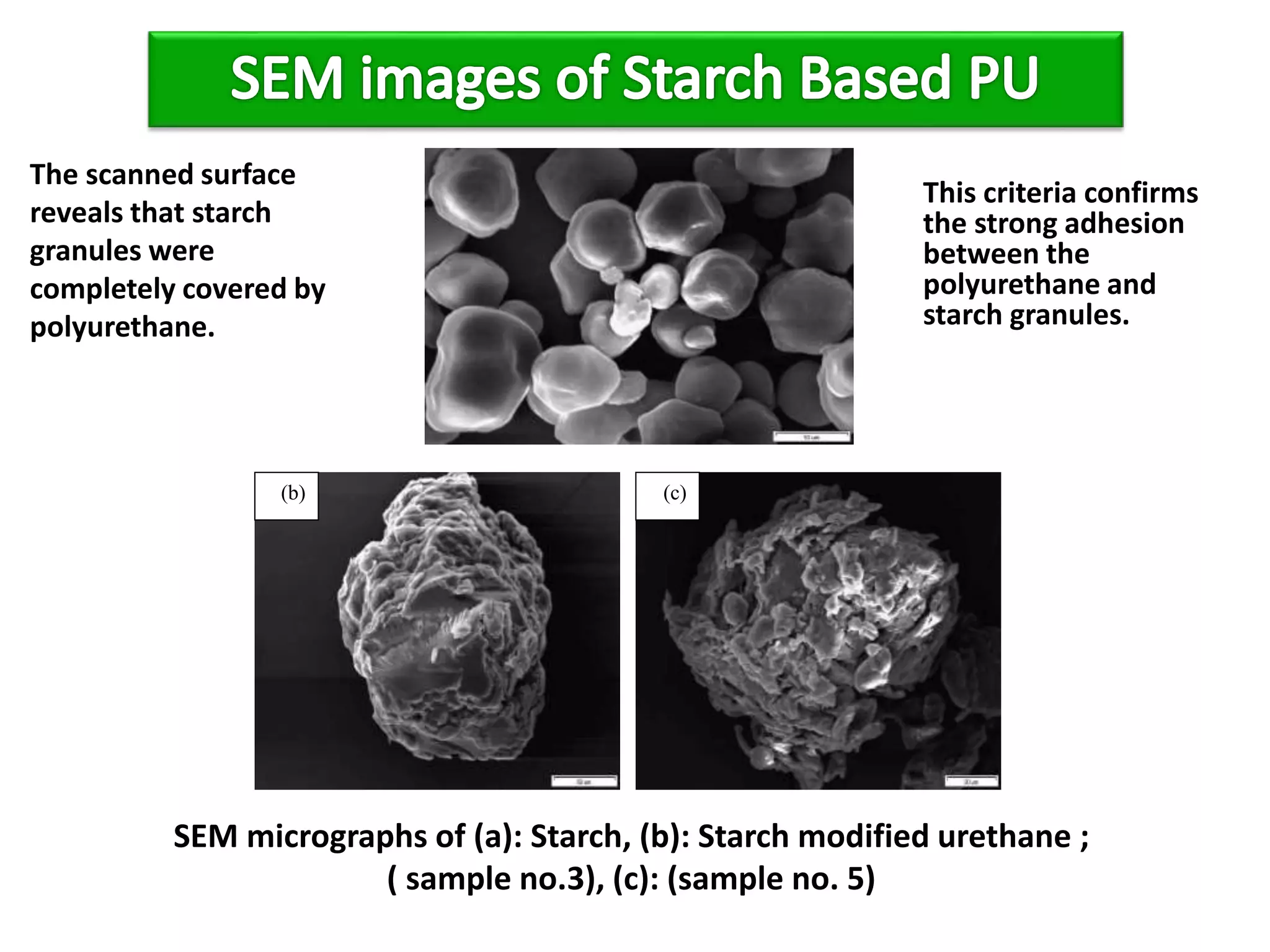 Starch based polyurethane | PPTX