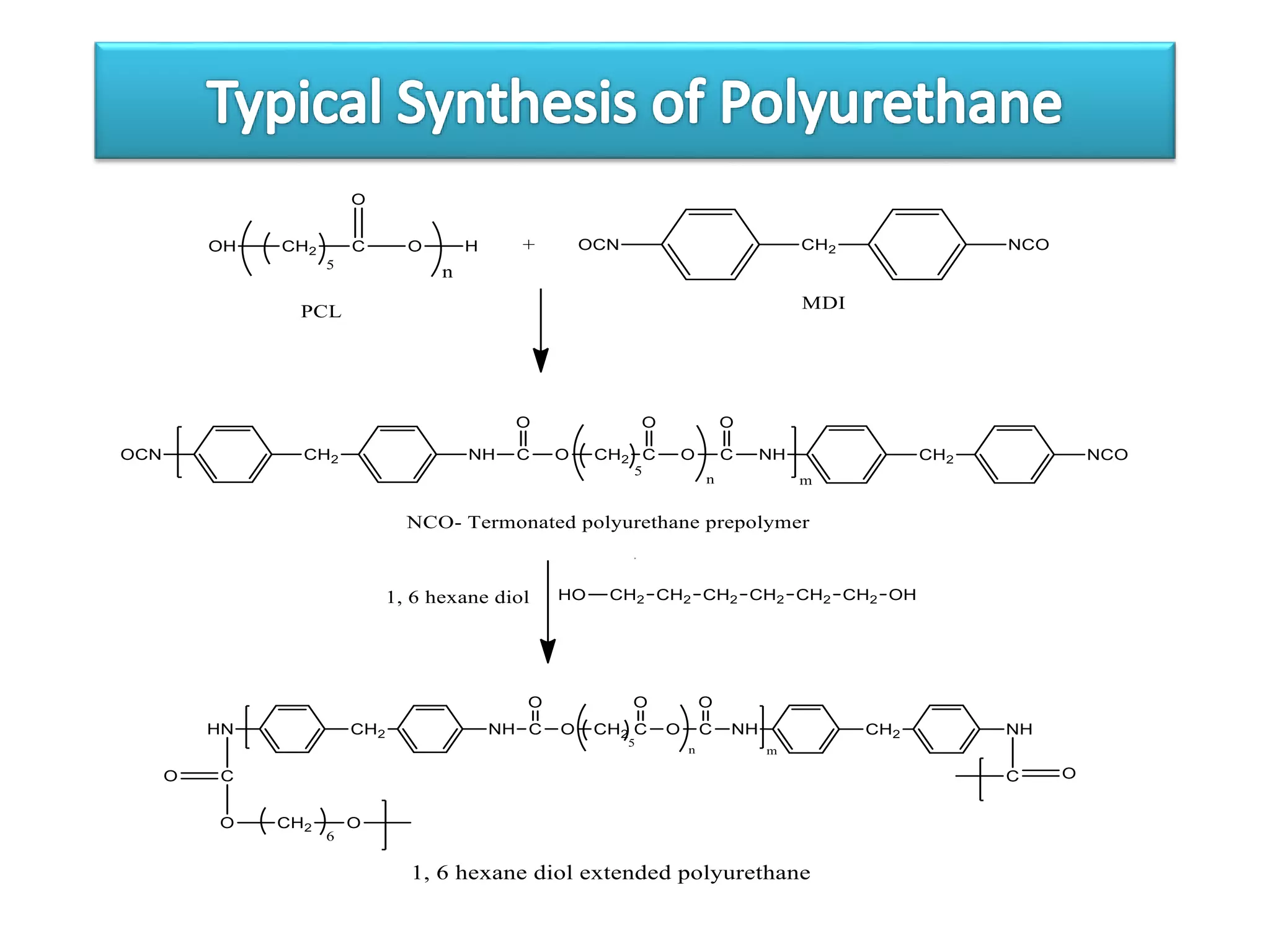 Starch based polyurethane | PPTX