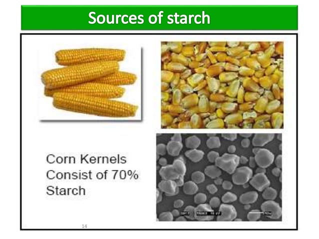 Starch based polyurethane | PPTX