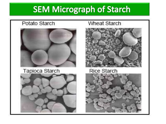 Starch based polyurethane | PPTX