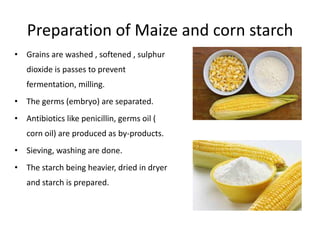 Starches | PPTX | Chemistry | Science