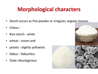 Starches | PPTX | Chemistry | Science