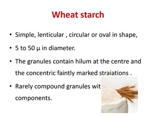 Starches | PPTX | Chemistry | Science