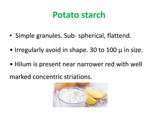 Starches | PPTX | Chemistry | Science