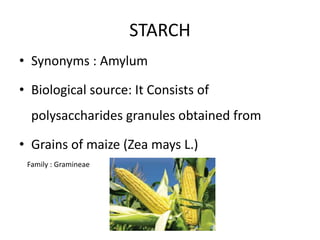 Starches | PPTX | Chemistry | Science