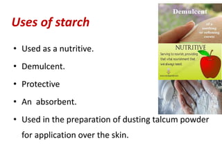 Starches | PPTX | Chemistry | Science