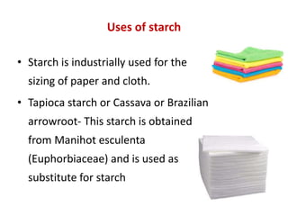 Starches | PPTX | Chemistry | Science