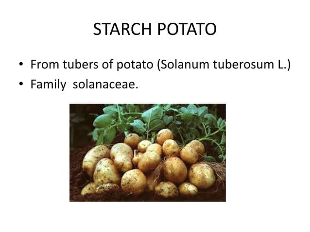 Starches | PPTX | Chemistry | Science