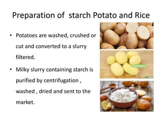 Starches | PPTX | Chemistry | Science
