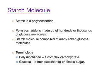 Simple Starch Molecule