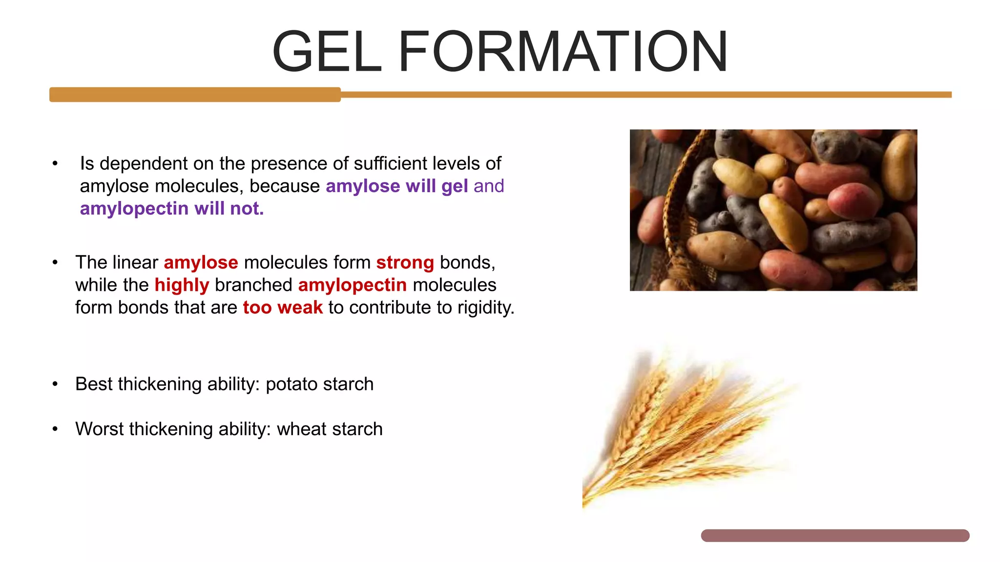 STARCH PRESENTATION | PPTX