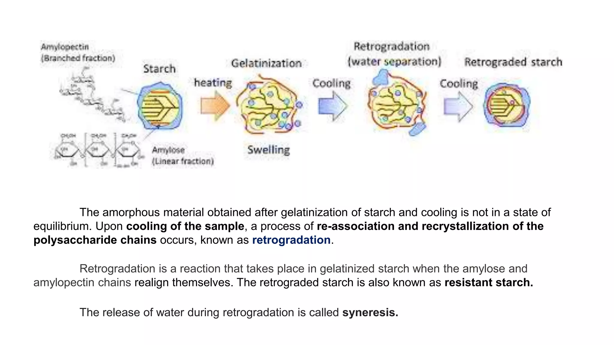 STARCH PRESENTATION | PPTX