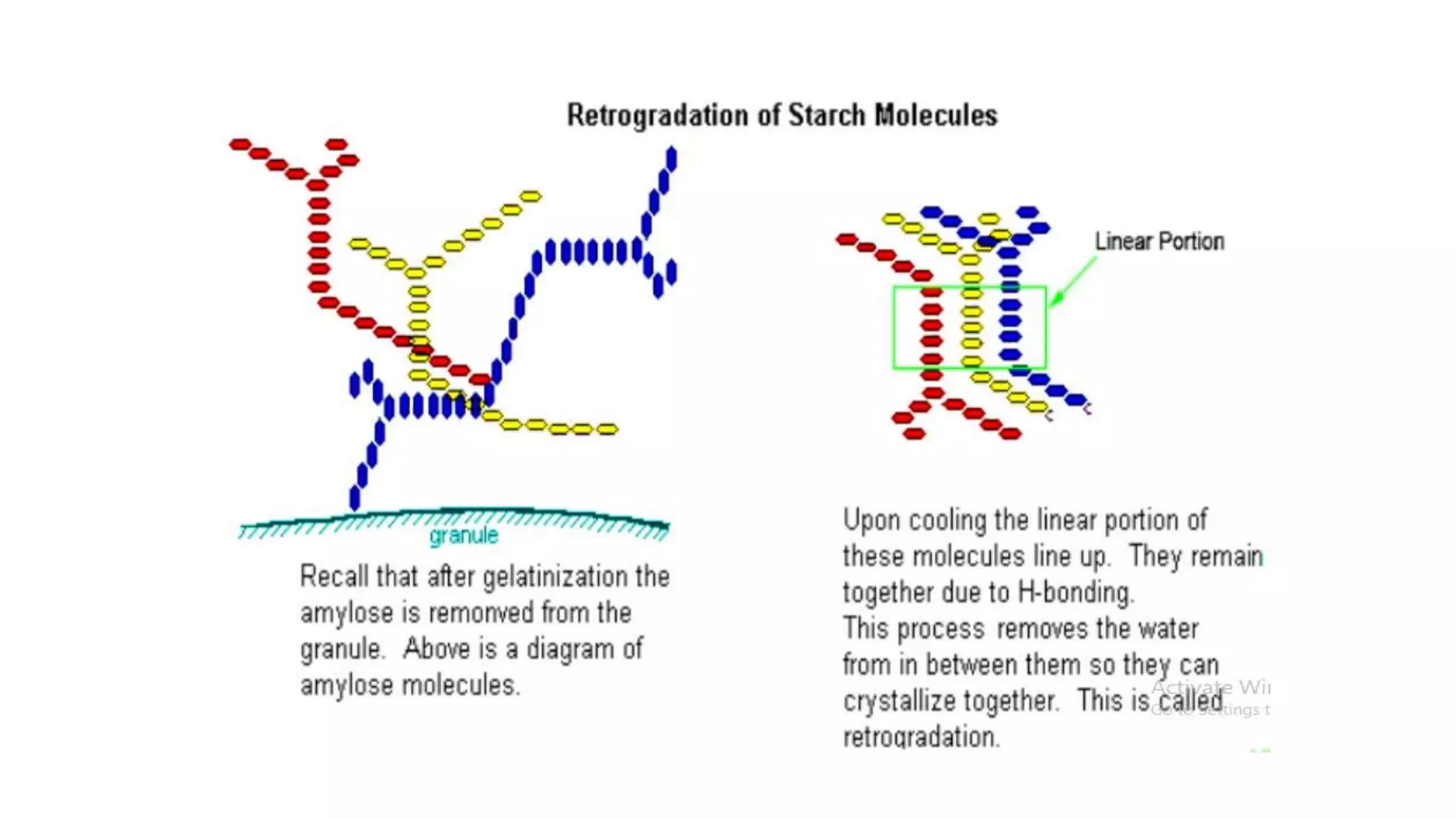 STARCH PRESENTATION | PPTX