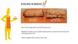 STARCH PRESENTATION | PPTX