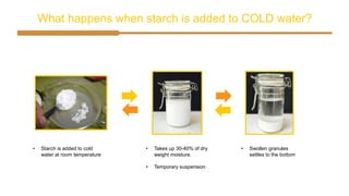 STARCH PRESENTATION | PPTX