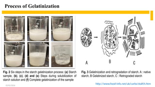 Starch___________ppt______2______________Copy____________Copy.pptx