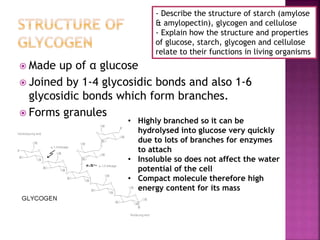 Starch presentation | PPTX
