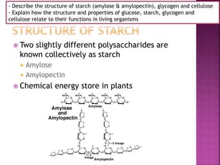 Starch presentation | PPTX