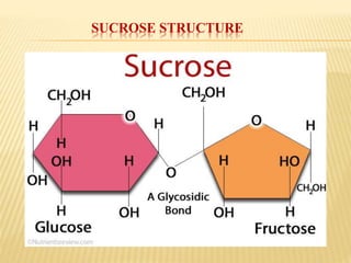 Starch & sucrose metabolism.pdf