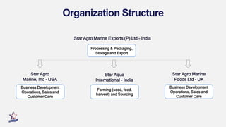 Star group corporate presentation | PPTX