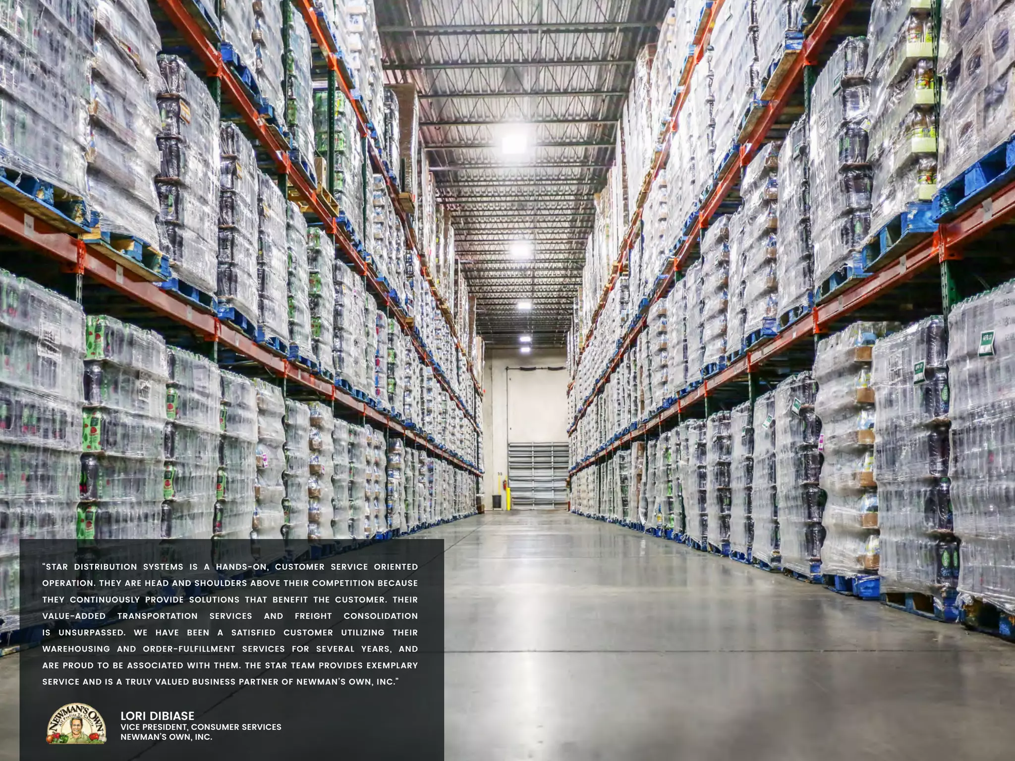 Star Distribution Systems | PDF