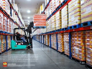 Star Distribution Systems | PDF