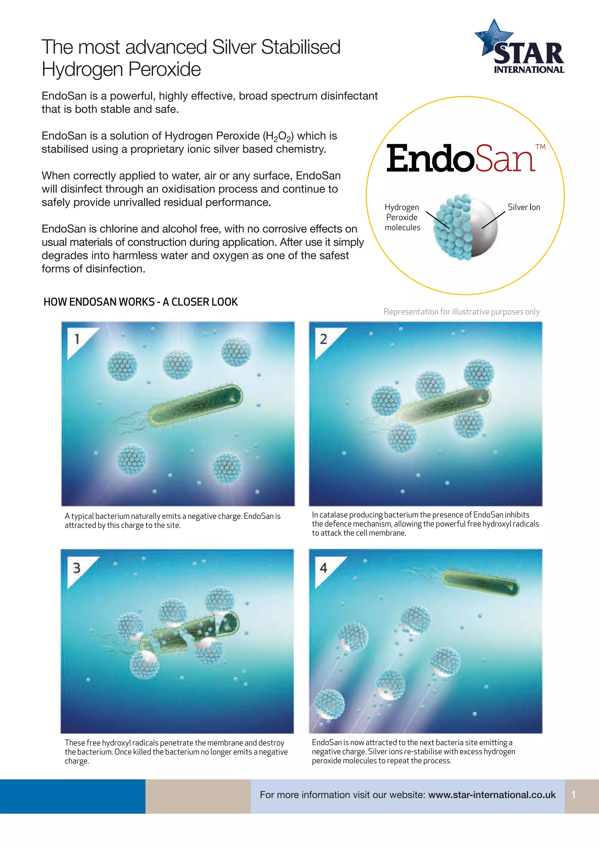 Star Endosan new brochure April 2016 | PDF