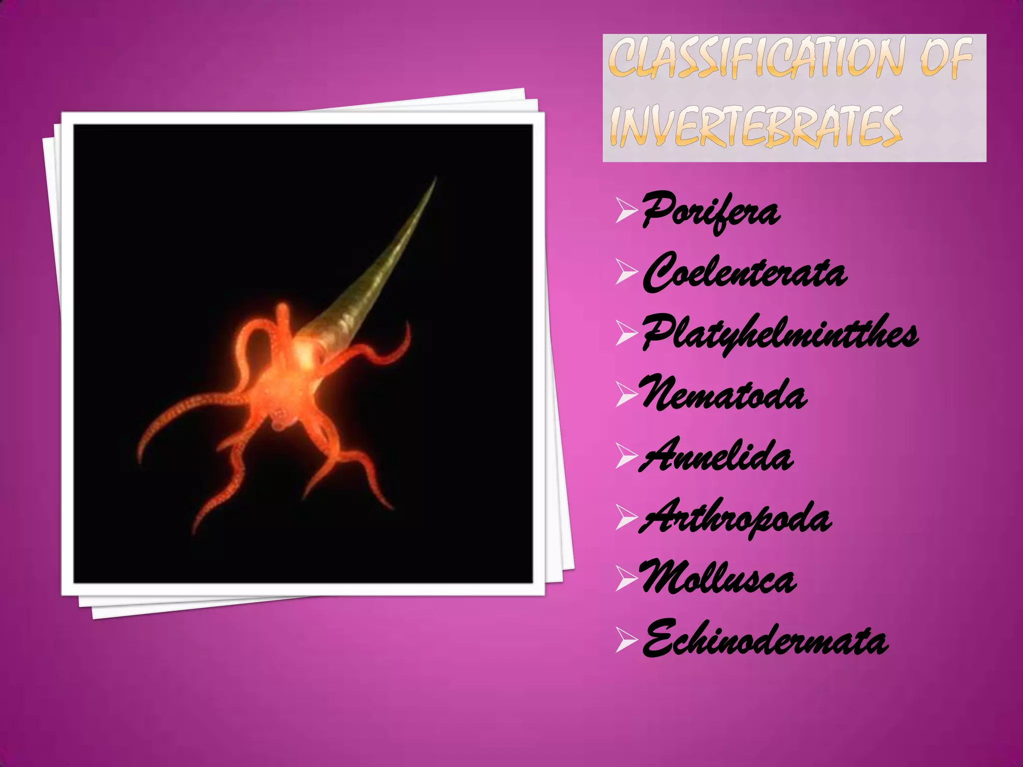 INVERTEBRATES | PPTX