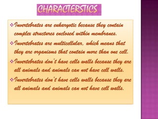 INVERTEBRATES | PPTX