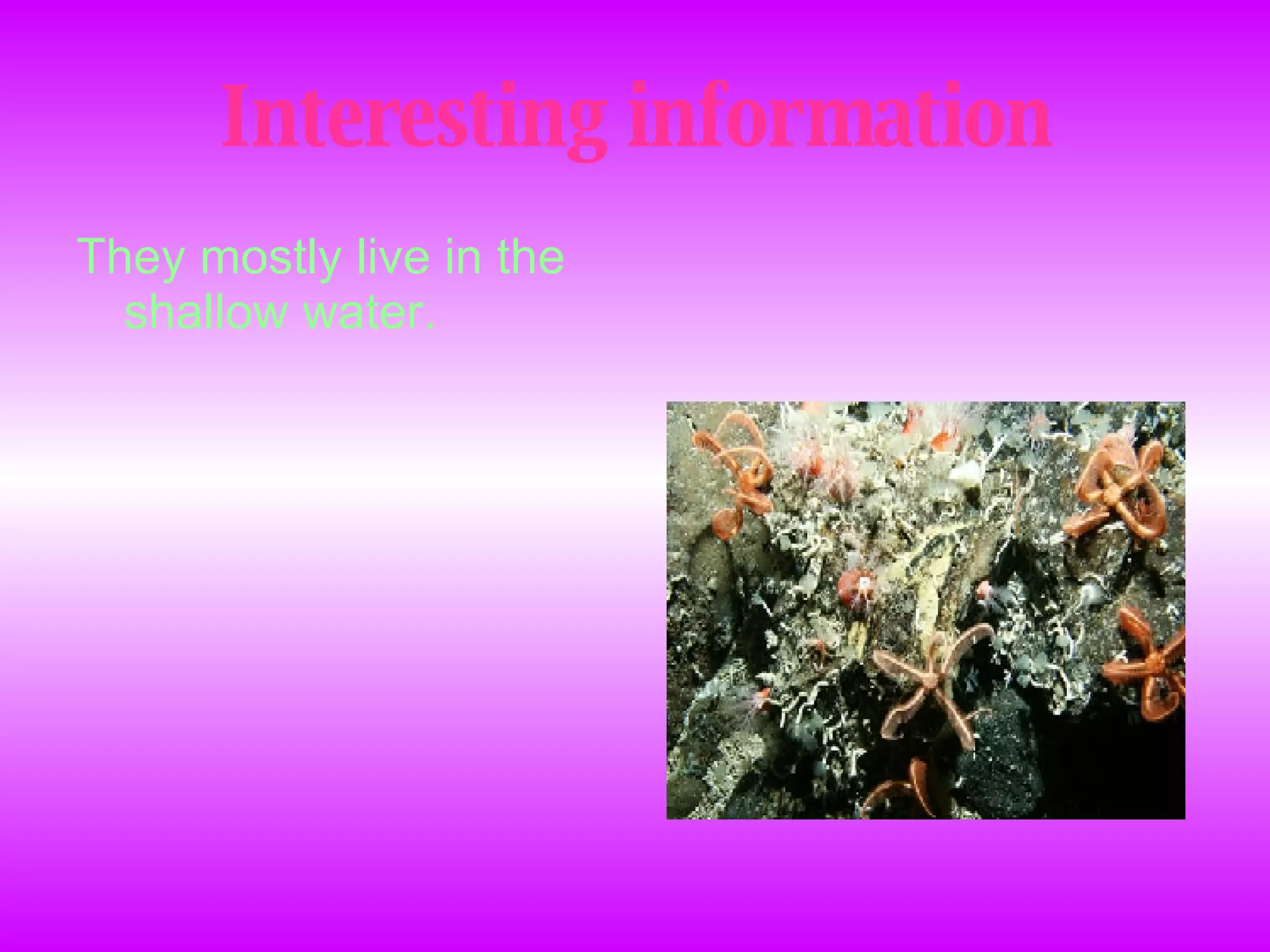 Starfish Report | PPT