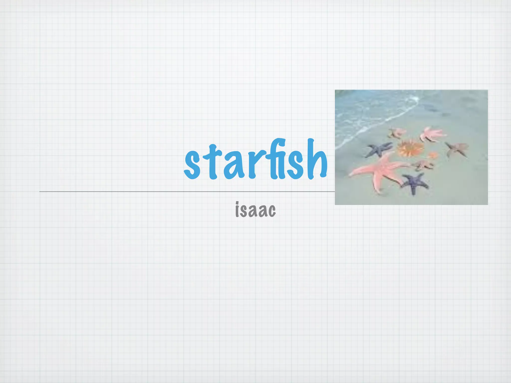 Starfish By Isaac | KEY