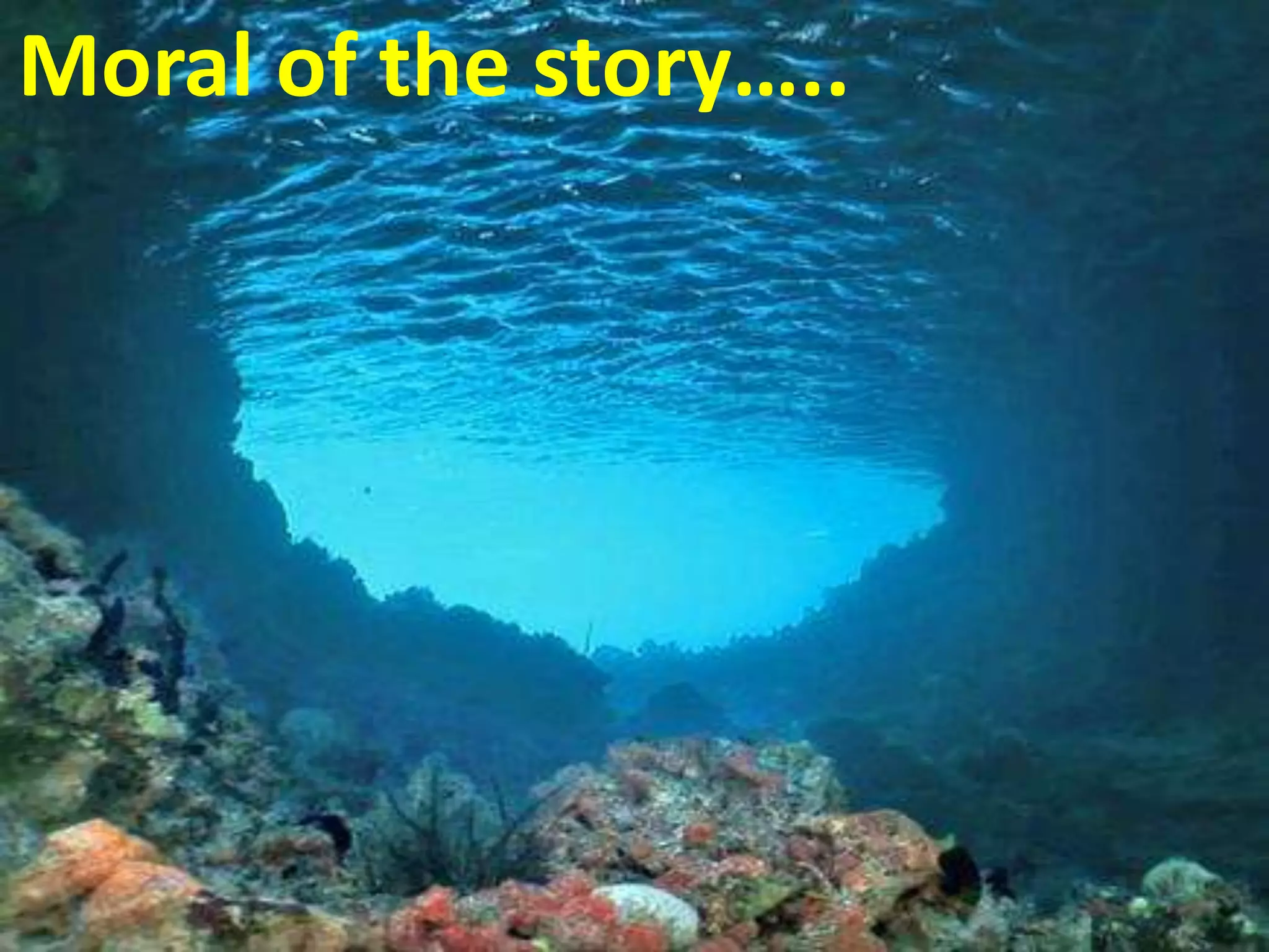 Starfish story | PPTX