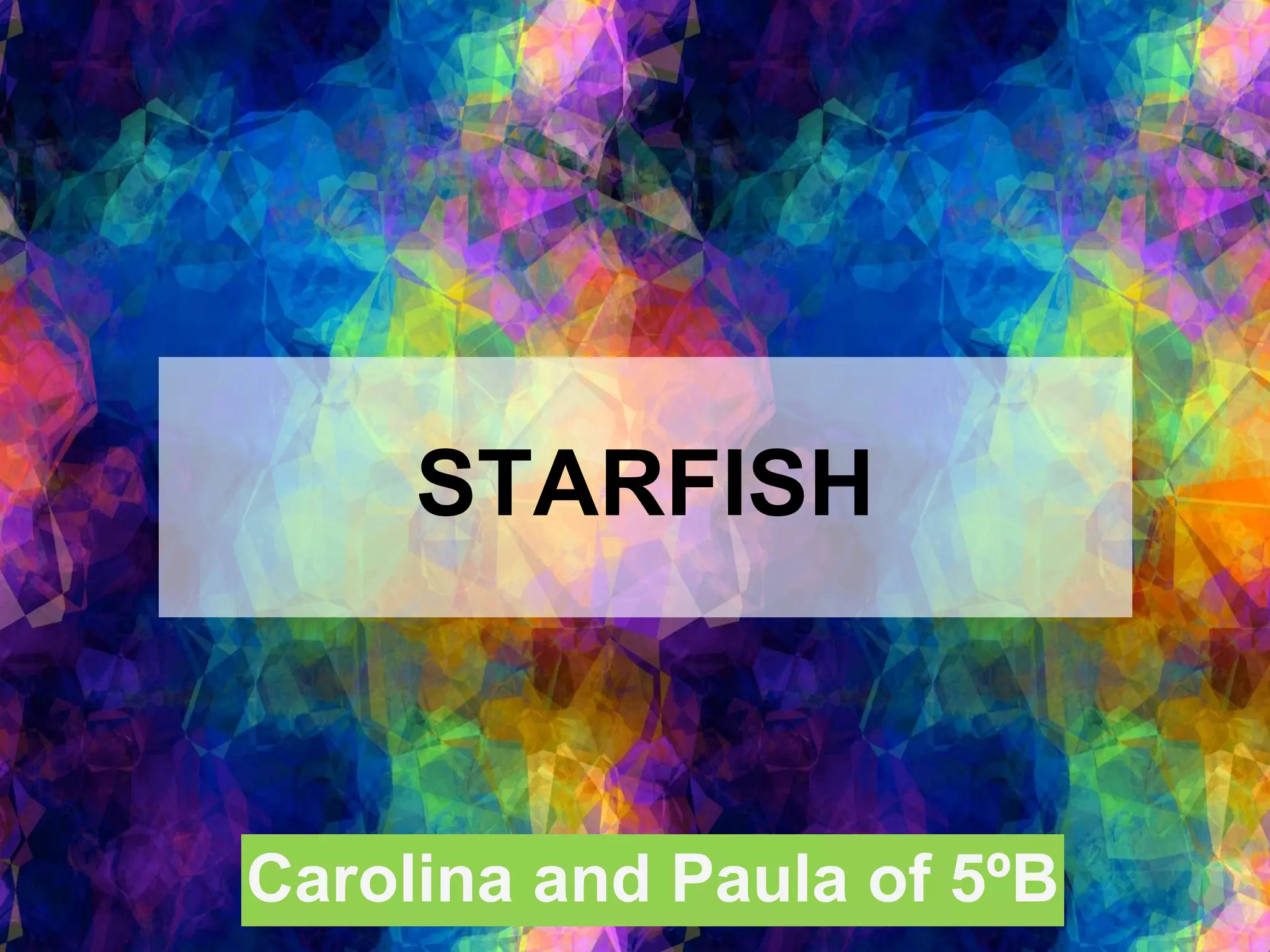 Starfish work power_point | PPTX