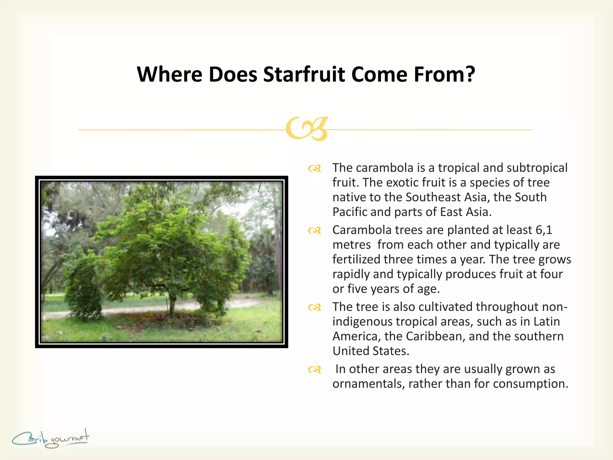 What is Starfruit? | PPTX