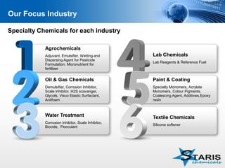Staris company overview | PDF