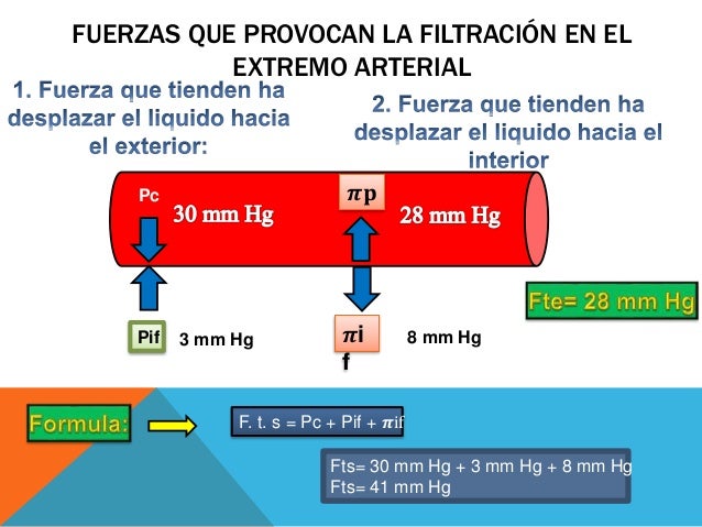 leyes de frank Starling