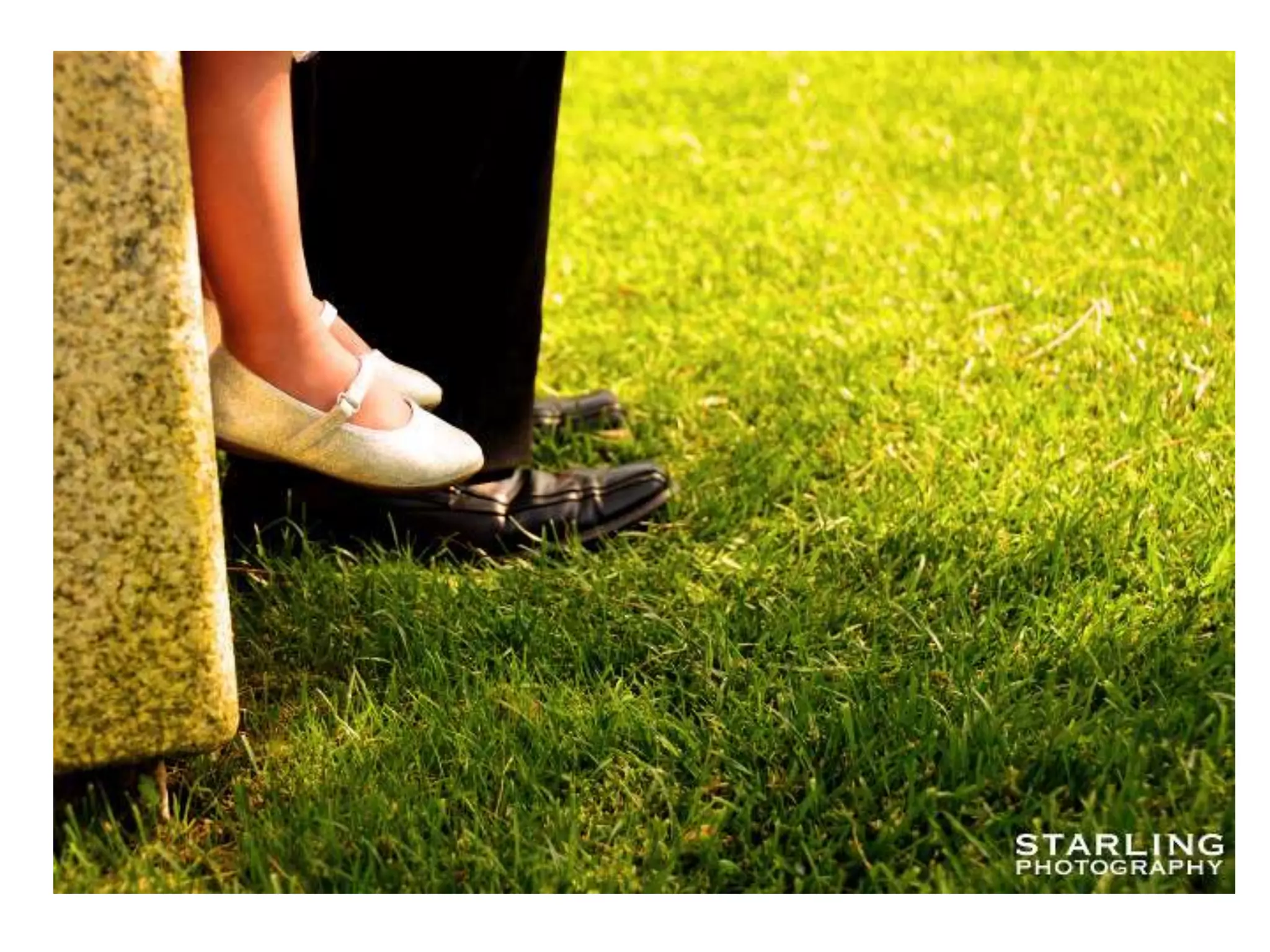 Starling Film | PPTX