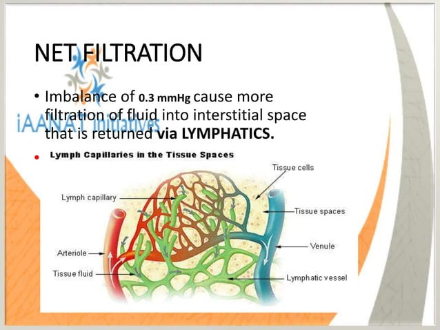 Starling forces | PPTX | Physics | Science